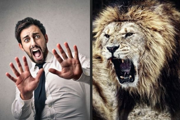 Τι είναι η αντίδραση Μάχης - Φυγής (Flee or Fight) και γιατί έχει τόση ...