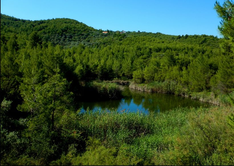 Μαυροσουβάλα: Ένας επίγειος Παράδεισος λίγα χιλιόμετρα μακριά από την ...